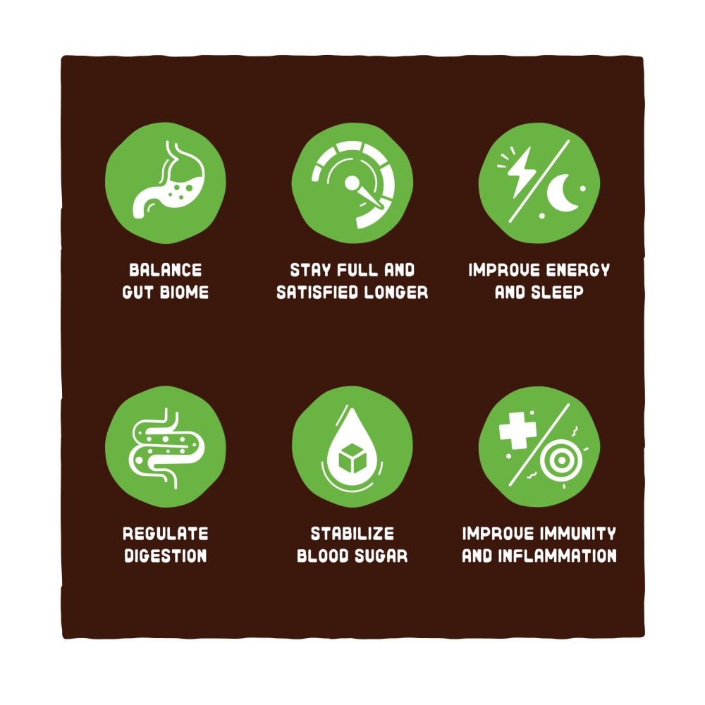 Sampler Pack - Lectin Free Protein Bars