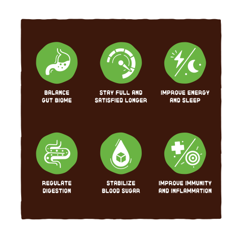 Sampler Pack - Lectin Free Protein Bars