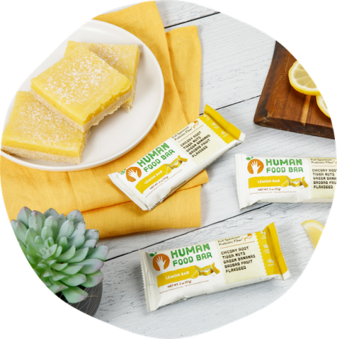 Lemon Bar - Lectin Free Protein Bar
